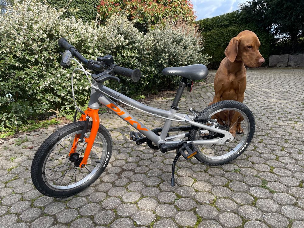 Velo Kinder 3-6 Jahre | Kaufen auf Ricardo