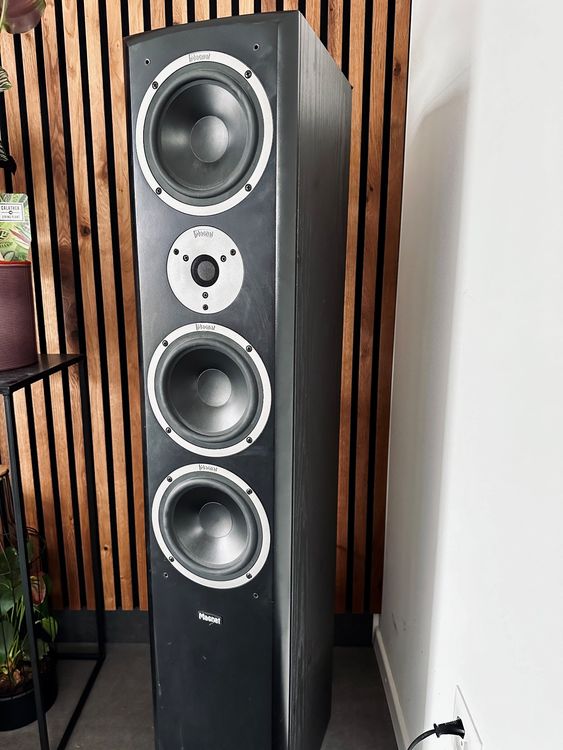 Magnat Vector 77 3-Weg Bassreflex Standlautsprecher (Gebraucht) in ...