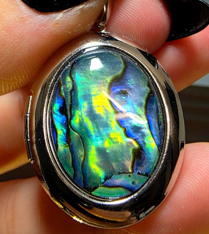 Abalone Fotoanhänger (Neu (gemäss Beschreibung)) in Matzingen für CHF 8.9 – mit Lieferung auf ...