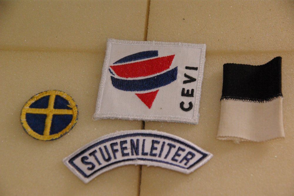 CEVI Abzeichen - Logo - Stufenleiter | Kaufen auf Ricardo