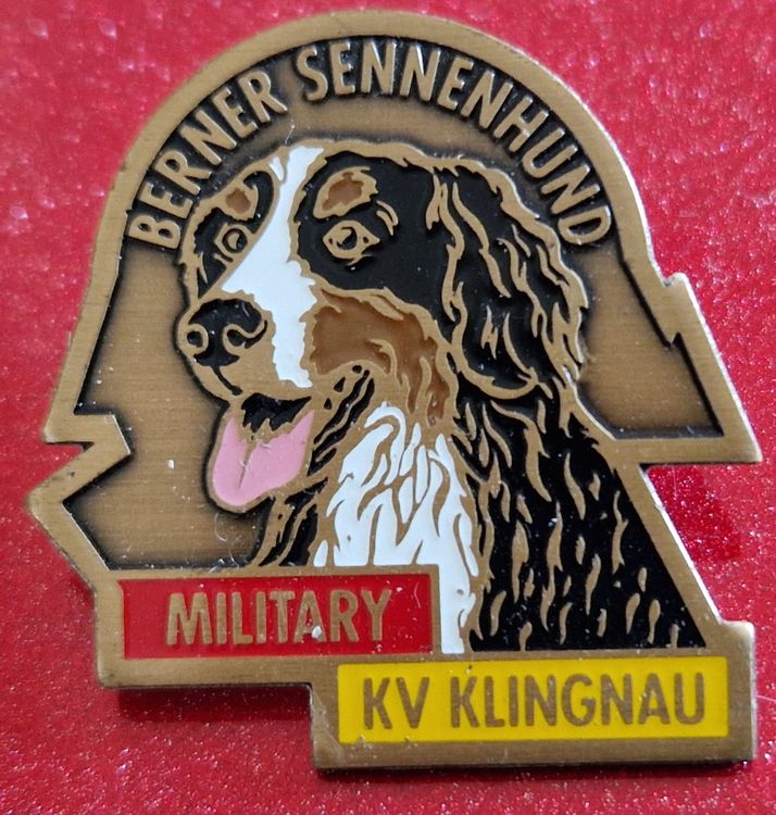 PIN Berner Sennenhund Military KV Klingnau | Kaufen auf Ricardo