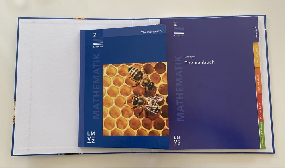 Mathematik Themenbuch mit Lösungen 2. Primar Klasse (Gebraucht) in ...