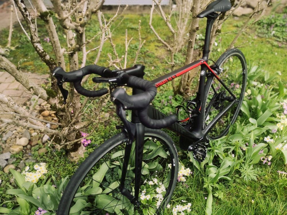 Rennrad Canyon Ultimate CF SL 8.0 (Gebraucht) in Abtwil SG für CHF 1710 ...