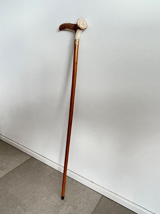Bastone da collezione (Usato) a Breganzona per CHF 80 – con consegna ...