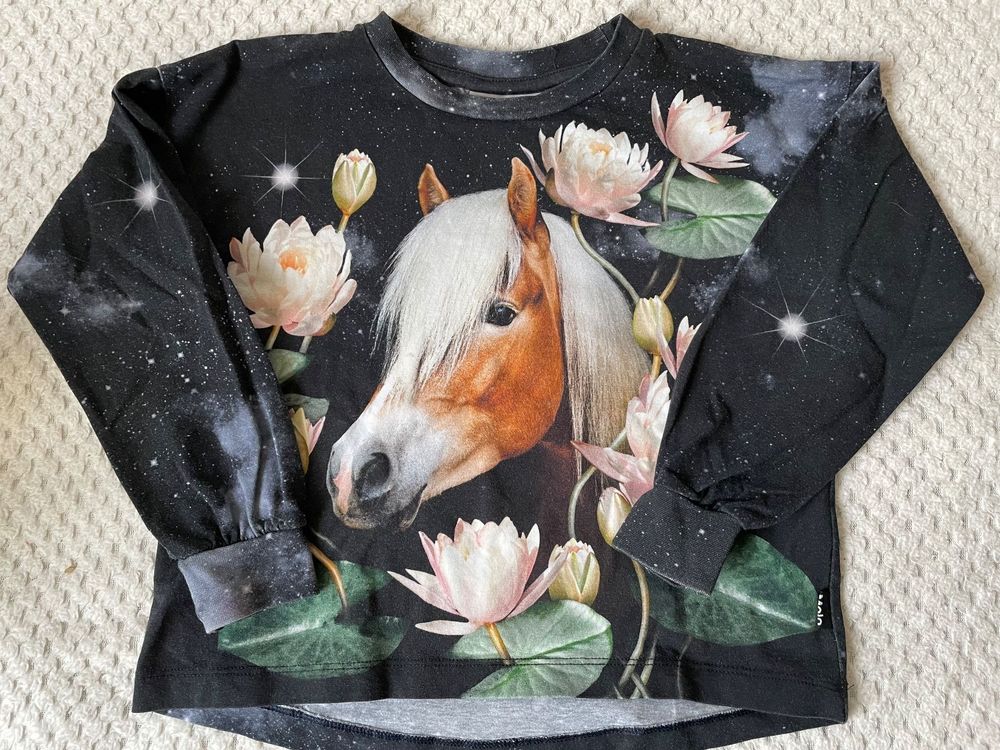 Mädchen-Pulli Pferd, Gr. 116 (Gebraucht) in Cham für CHF 15 – mit Lieferung auf Ricardo kaufen