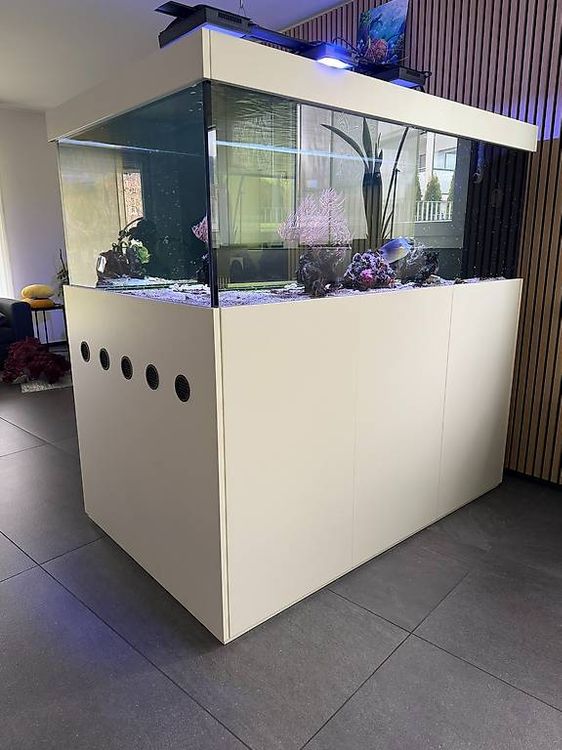 Meerwasser Aquarium massgefertigt 160 x 100 x 60 cm (Gebraucht) in ...
