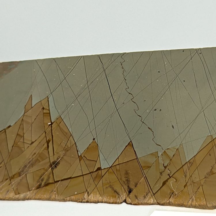 Scheibe von PAESINA, Natürliches BILD, Italien (Neu (gemäss ...