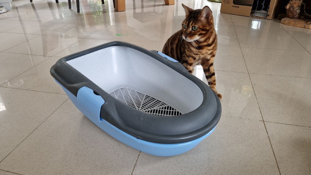 TRIXIE - Katzentoilette mit Trennsystem 39 x 22 x 59 c | Kaufen auf Ricardo
