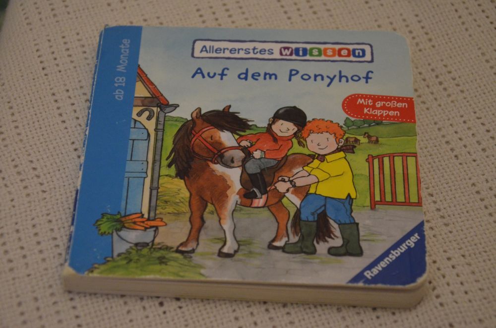 MINI BUCH (Gebraucht) in Chiasso für CHF 1 – mit Lieferung auf Ricardo ...