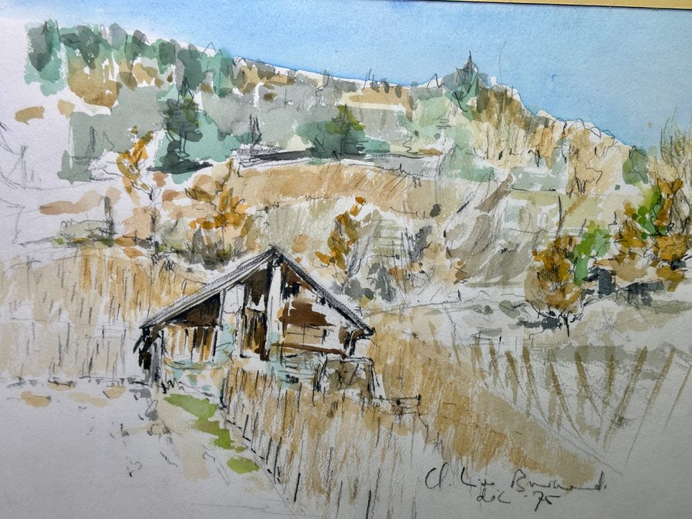 ELISE BURNAND 1975 Aquarelle sur carton paysage Lavaux (Gebraucht) in Morges für CHF 20 – mit ...