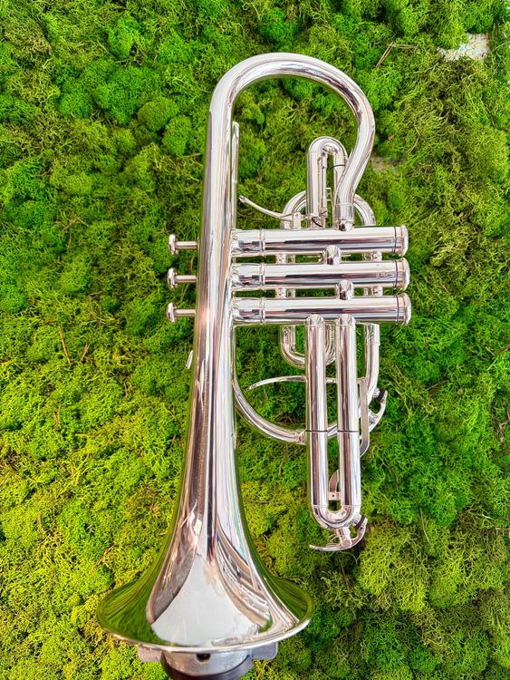 Cornet Yamaha Neo YCR-8335GS Argenté Sib - Occasion Révisé (Gebraucht ...