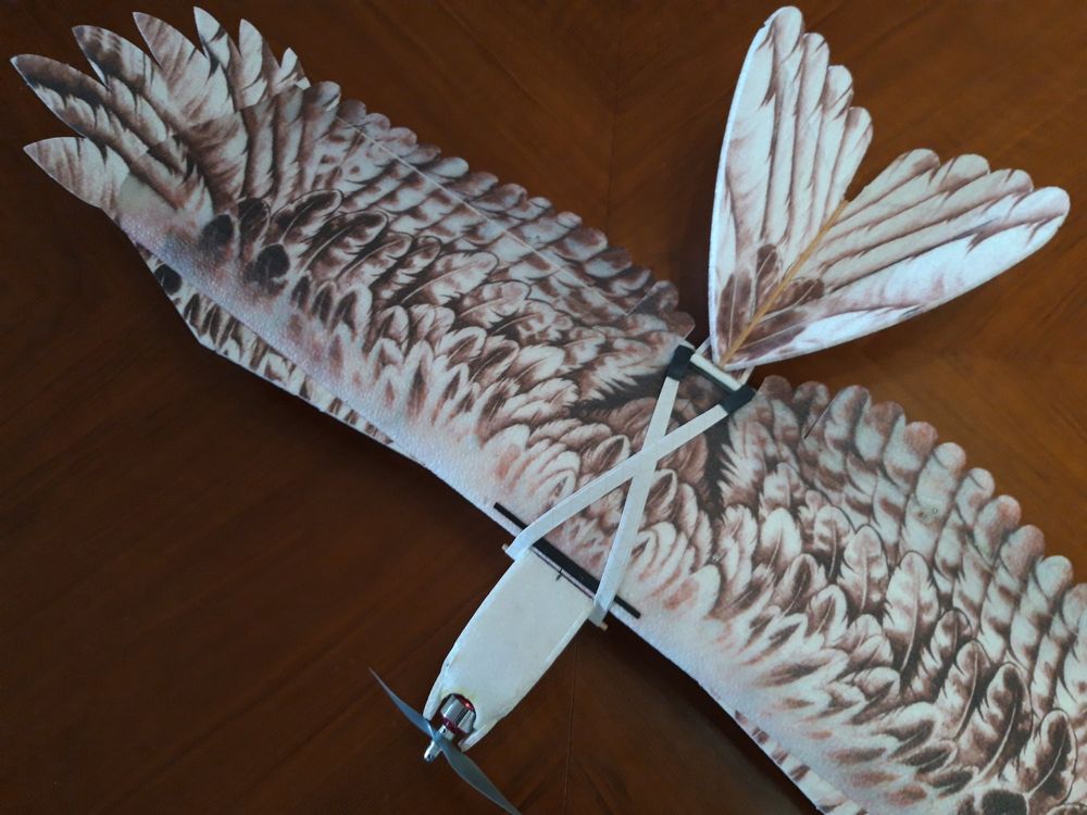 Eagle Mini 1200mm ARF DW HOBBY | Kaufen auf Ricardo