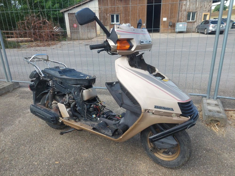 Honda Spacy 250 MF01 Elite CH250 Roller Topcase Auspuff (Defekt) in ...