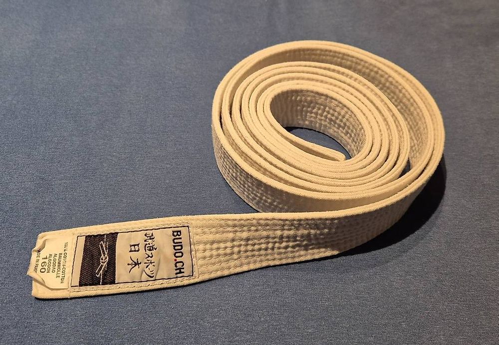JU JITSU GI CLASSIC PRO BUDO.CH (160) (Gebraucht) in Locarno für CHF 50 ...
