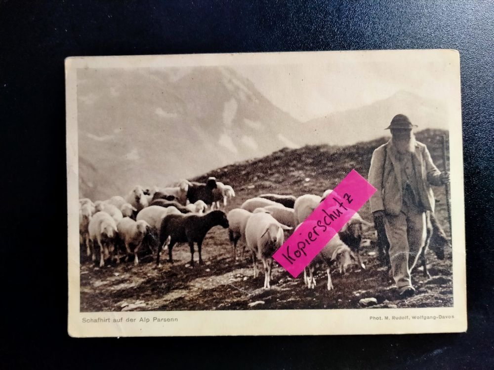 Schafhirt auf der Alp Parsenn AK Landwirtschaft Graubünden (Gebraucht ...
