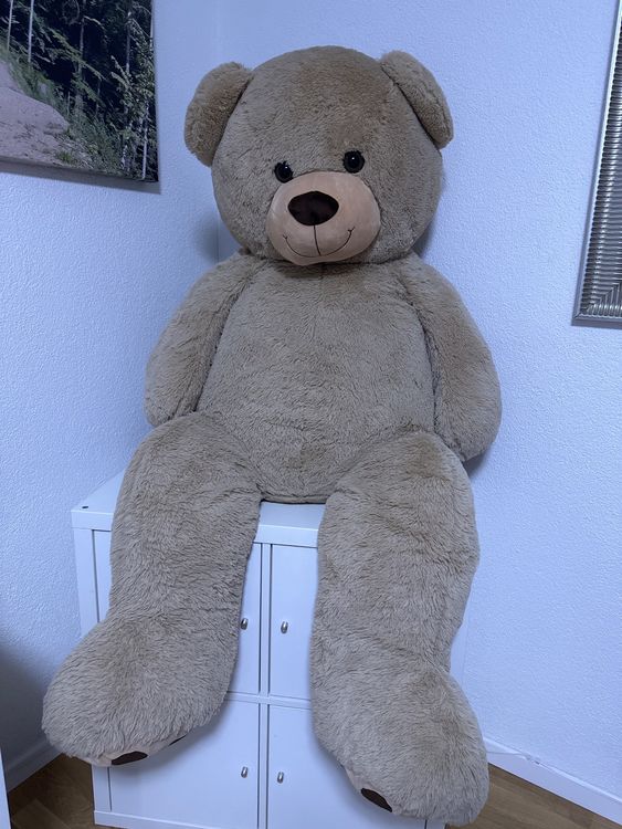 Riesen Teddybär | Kaufen auf Ricardo