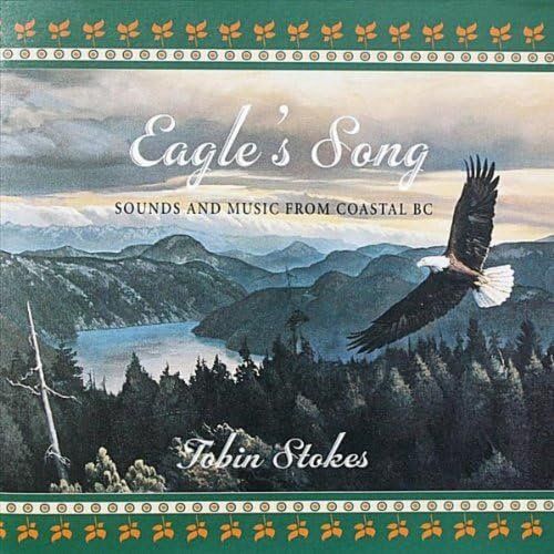 Eagle's Song - Tobin Stokes (New Age, Symphonic) CD, D10 (Gebraucht) in ...