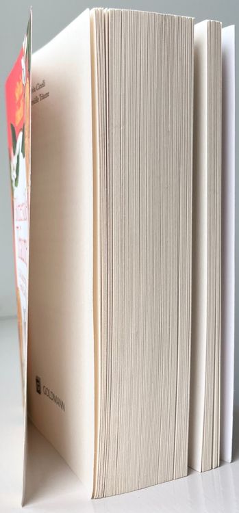 Bittersüsse Träume – Silvia Cinelli – Roman – TB – Top 2025 (Neu ...