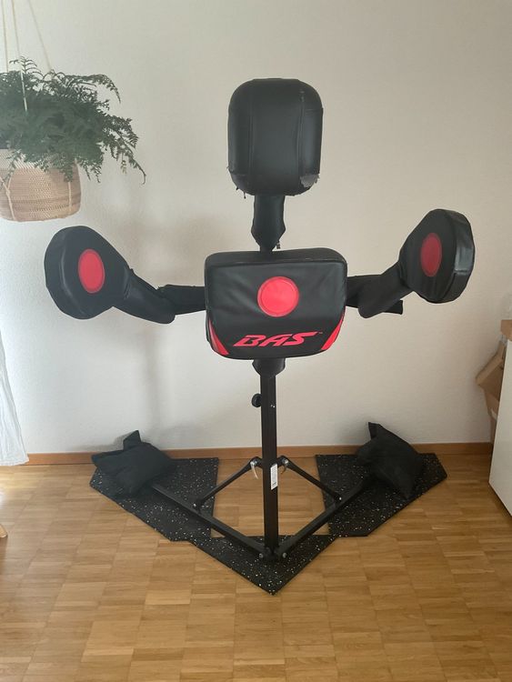 BAS - Body Action System Trainingsgerät | Kaufen auf Ricardo