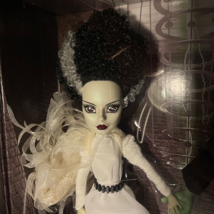 NEU: Monster High Frankenstein & Bride of Frankenstein (Neu und ...