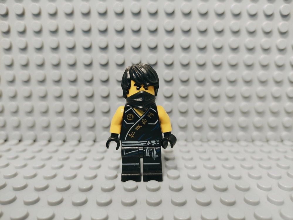 Lego Ninjago Minifigur Cole Tournament of Elements (Gebraucht) in Wil ...