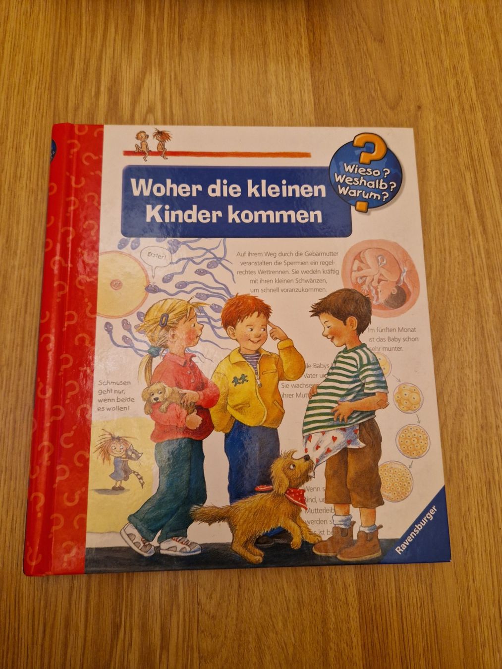 Wunderschone Woher Kommen Sukartoffeln Ebenbild
