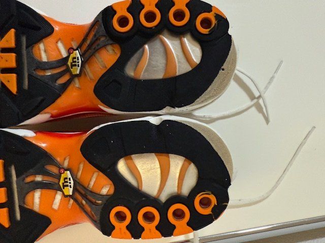 Nike Air Max Plus (TN)“Light Photography” Gr.43 (Gebraucht) in Baar für ...