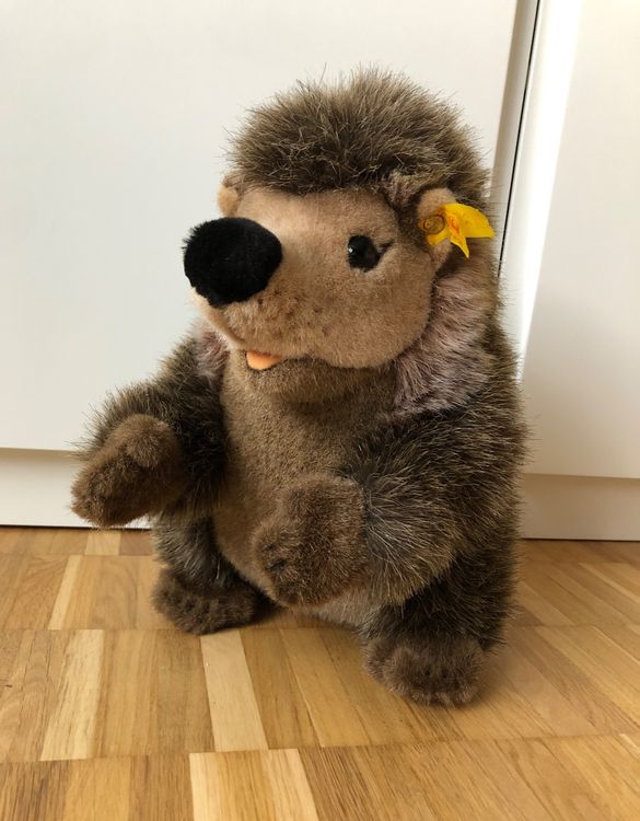 Steiff Igel Joggi 32 cm (Gebraucht) in Bigorio für CHF 16.5 – mit ...