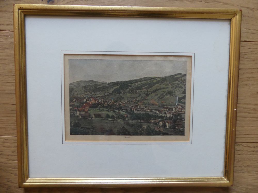 Stich Kappel (Gebraucht) in Wil SG für CHF 30 – mit Lieferung auf Ricardo kaufen