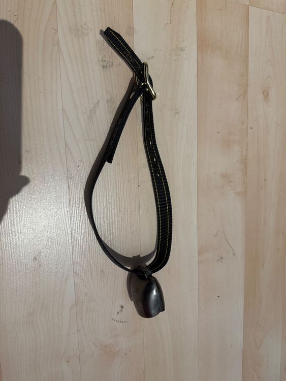 Ziegenglocke mit Halsband (Neu (gemäss Beschreibung)) in Zetzwil für CHF 2 – mit Lieferung auf ...