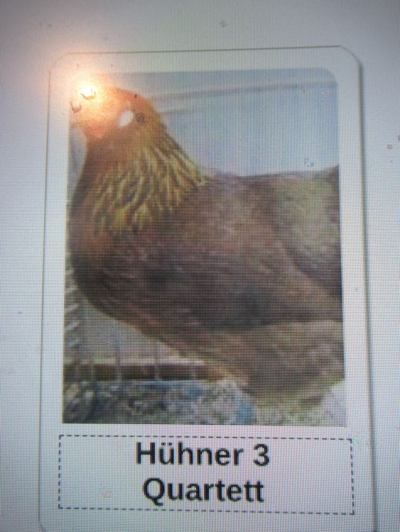Hühner 3 32 Karten Quartett (Neu und originalverpackt) in Herznach für CHF 30 – mit Lieferung ...