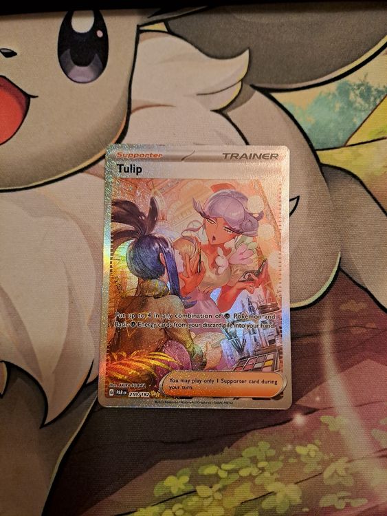 Tulip 259/182 Paradox Rift | Kaufen auf Ricardo