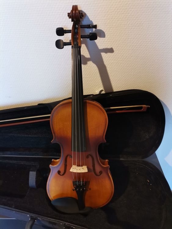 Geige | Kaufen auf Ricardo