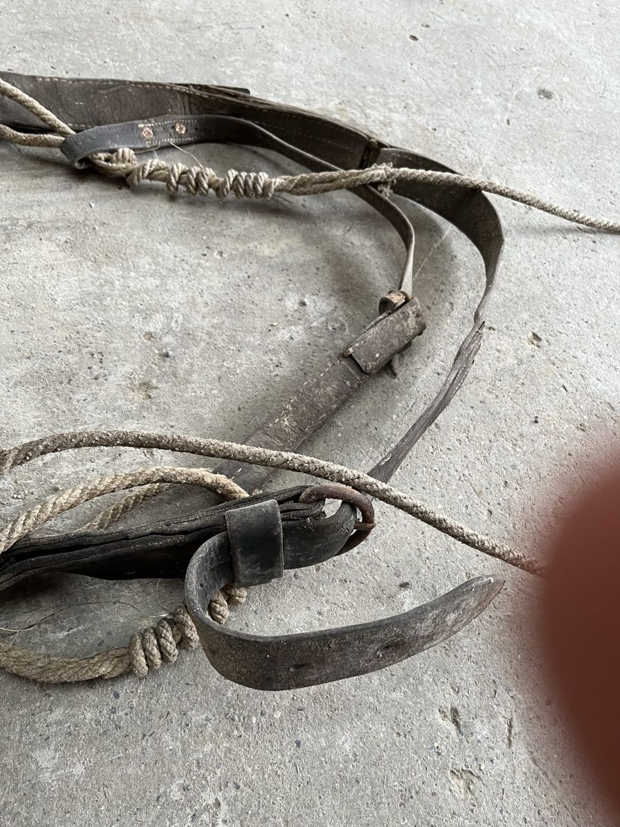 altes Pferde oder Pony Geschirr mit Joch und vielen Beschläg (Gebraucht ...