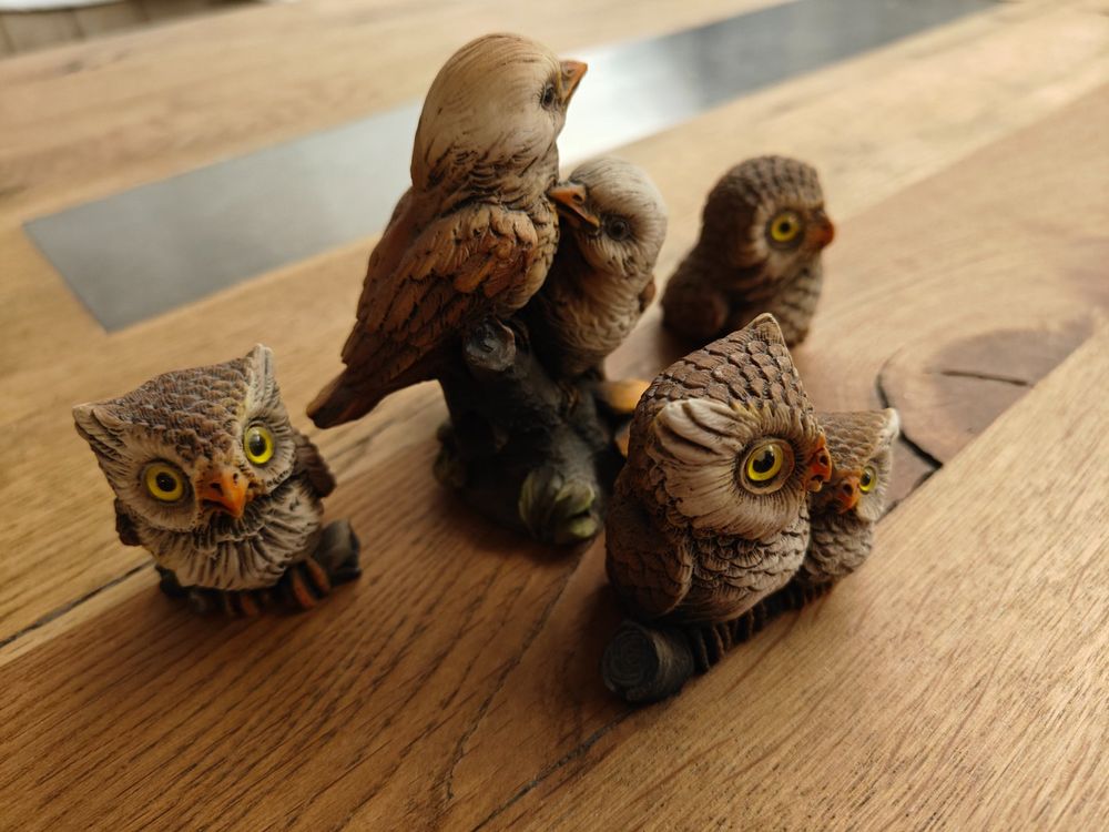 Süsse Eulen-Figuren – Deko-Set / Sammlung – 5 Stück (Gebraucht) in Birr ...
