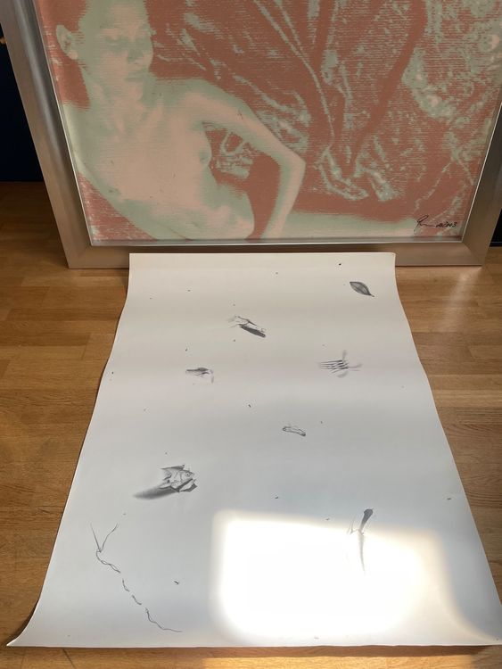 Riesige Lithographie von Alfred hofkunst 3/15 Kleinserie | Kaufen auf ...