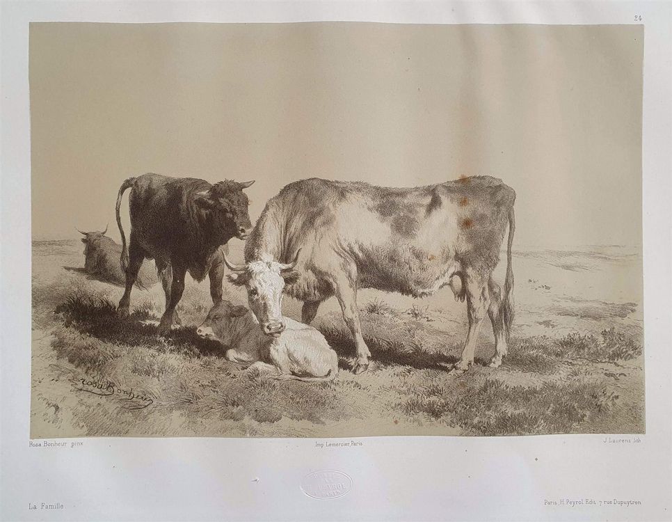 La Famille, Litho – Rosa BONHEUR (Gebraucht) in Luzern für CHF 5 – mit ...