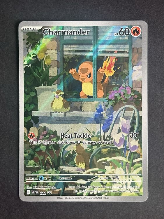 Pokémon - Charmander (Neu (gemäss Beschreibung)) in Erlinsbach SO für ...