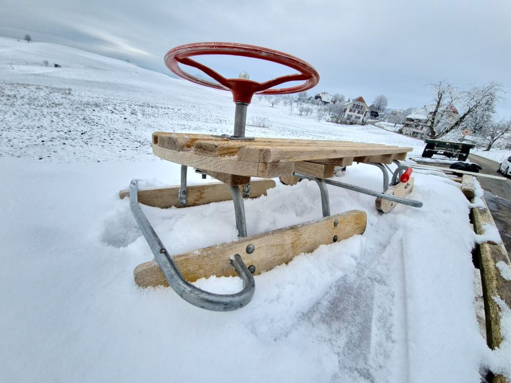 Schlitten sehr robust zum lenken und bremsen (Gebraucht) in Worb für ...