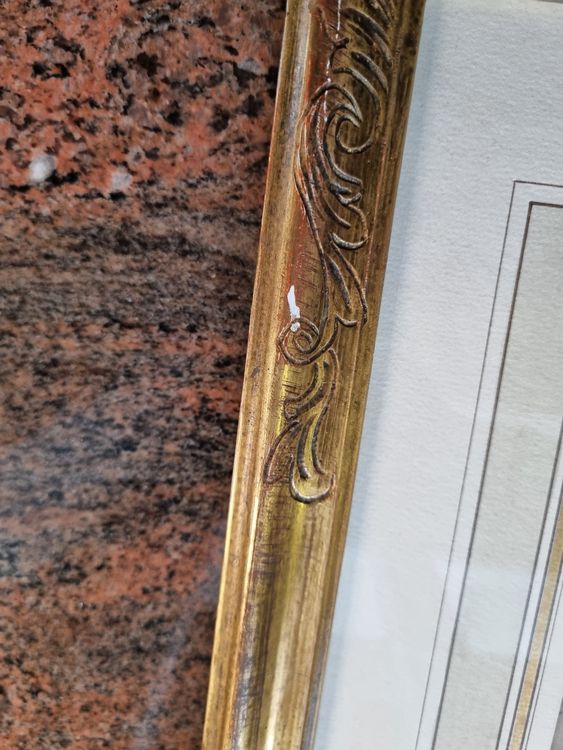 Stich Kollorierter unter Glas in echt vergoldetem Rahmen (Gebraucht) in ...