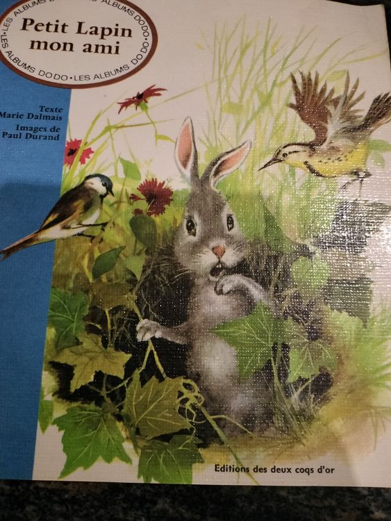Petit lapin mon ami ALBUM DODO (Gebraucht) in Cortaillod für CHF 5 ...