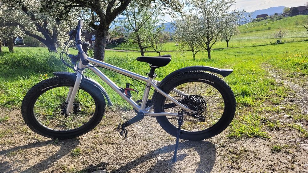 Early Rider Seeker 20 Zoll | Kaufen auf Ricardo