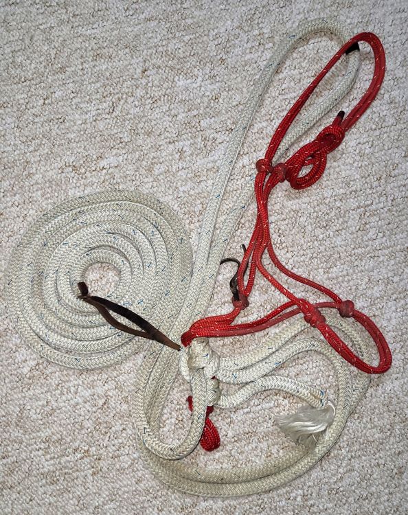 Original Parelli Hackamore, WB (Gebraucht) in Einsiedeln für CHF 59 ...