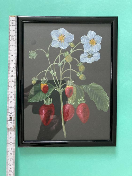 Gemälde Bild Erdbeeren und Blüten gerahmt hinter Glas | Kaufen auf Ricardo