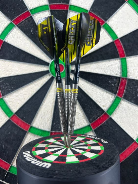 Target Darts Dave "Chizzy" Chisnall - 22 g (Rarität) (Gebraucht) in ...