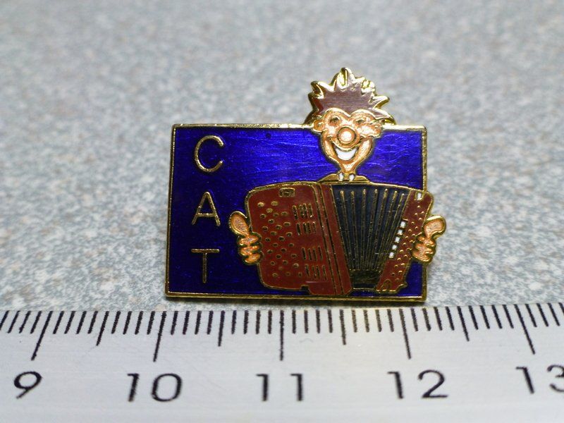 PIN PINS MUSIK Handorgel (Gebraucht) in Gränichen für CHF 3 – mit Lieferung auf Ricardo kaufen