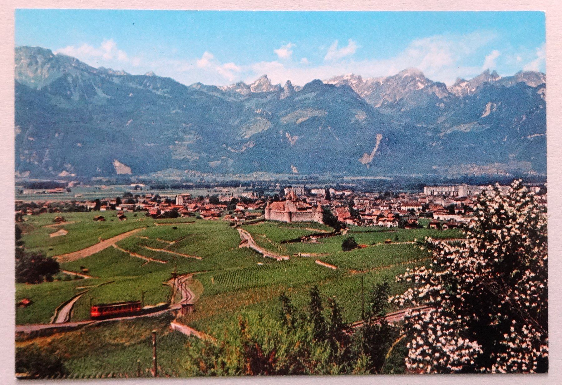 Aigle (D'occasion) à Fétigny pour CHF 1 – avec livraison | Acheter sur ...