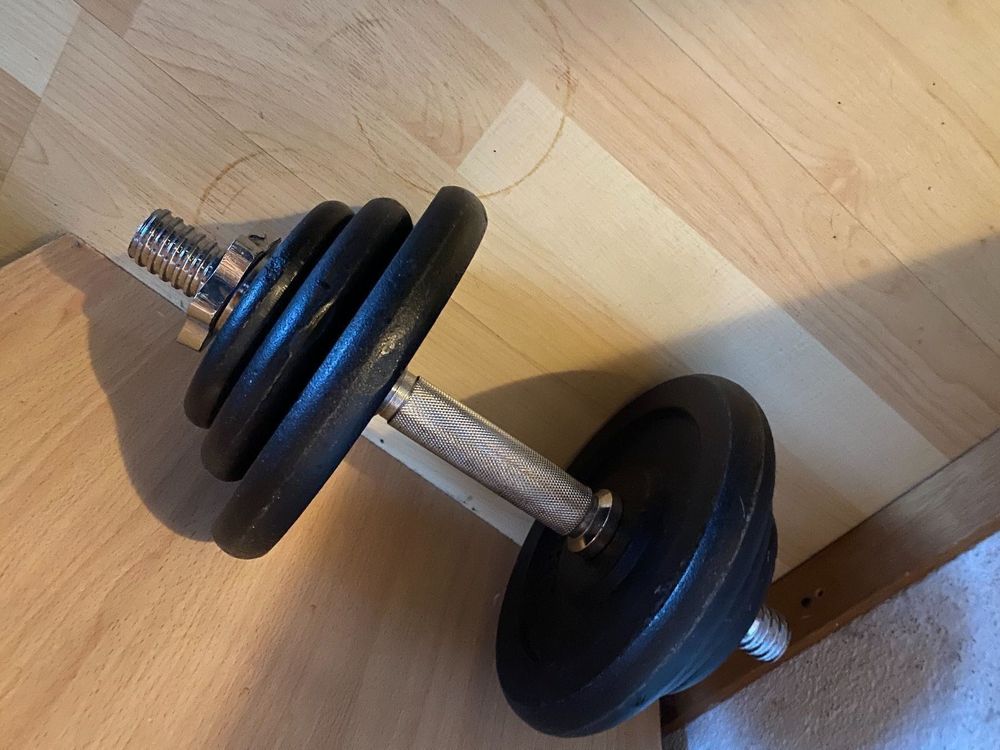 Altère (D'occasion) à Leytron pour CHF 30 – retrait uniquement ...