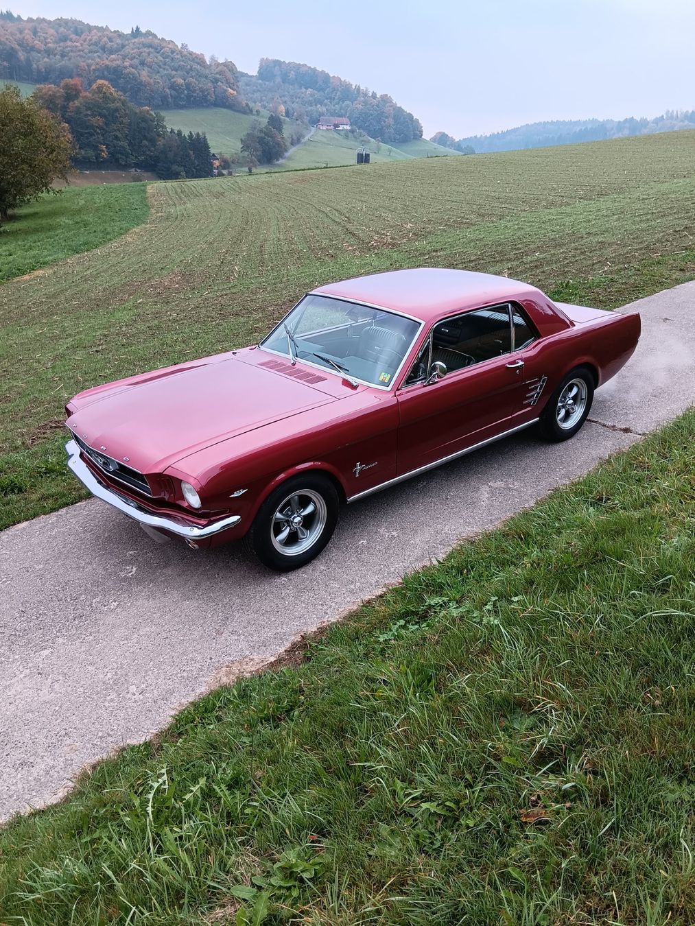 Ford Mustang 289 V8 1966 (Gebraucht) in kölliken für CHF 46950 – nur ...
