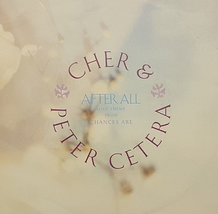 Schallplatte (Single) 😺 Cher & Peter Cetera – After All 🐶 (Gebraucht ...